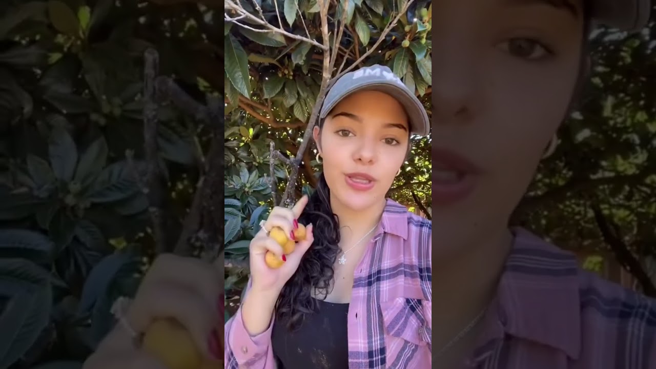 Descubre los beneficios del agua de níspero: propiedades, usos y cómo ...